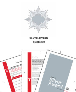 👧 Girl Scout Silver Award - (REQUIREMENTS AND GUIDELINES)