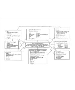 🏥 Nursing Concept Map Template PDF - Free Download (PRINTABLE)