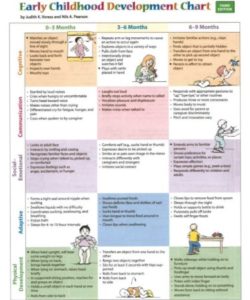 ⚖ Peabody Developmental Motor Scales Chart PDF - (PRINTABLE)